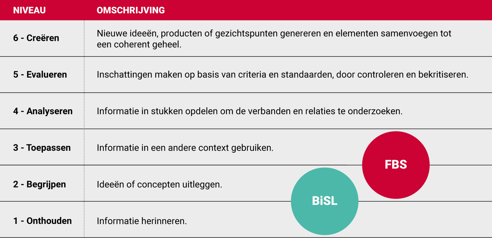 Wat is BiSL? VFB is een praktisch alternatief voor functioneel beheer